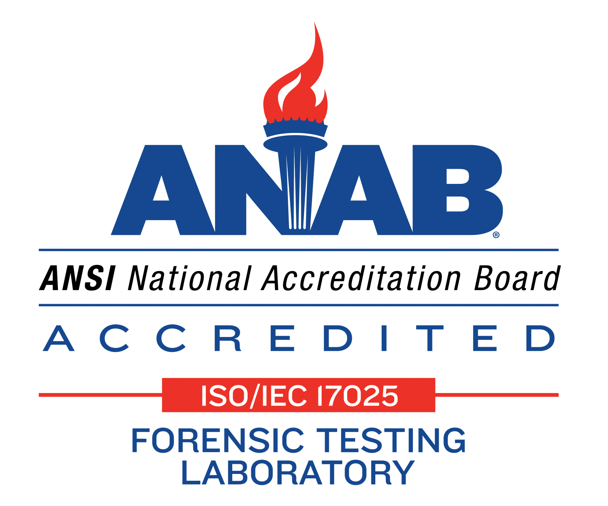 Data Recovery Services | Flashback Data